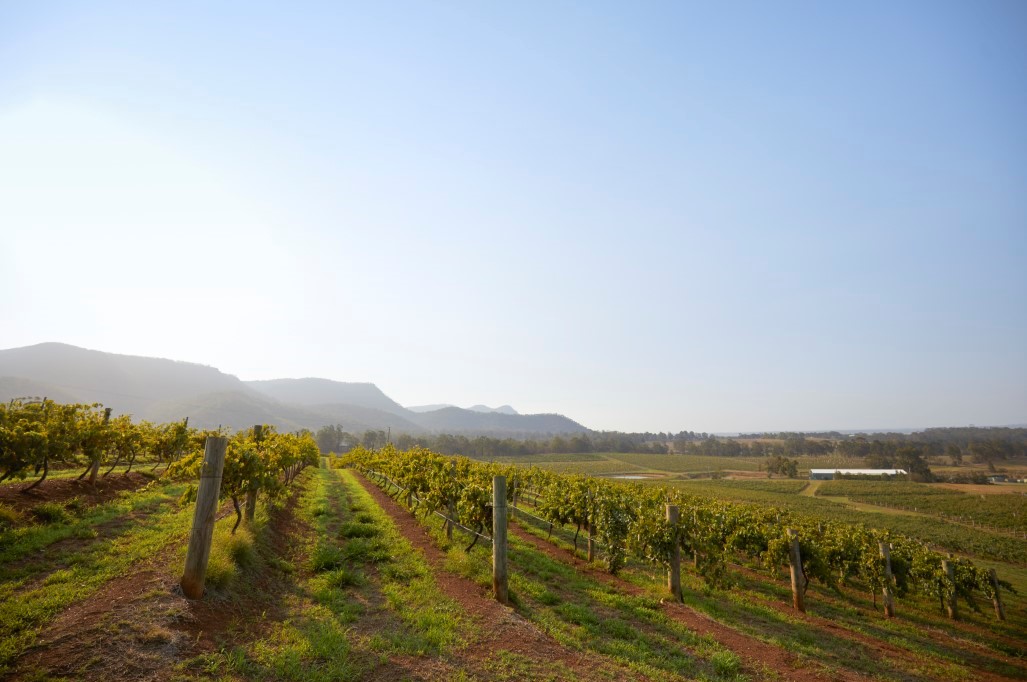 A Hinterland Road Trip Itinerary - Sydney to Armidale via Tamworth ...