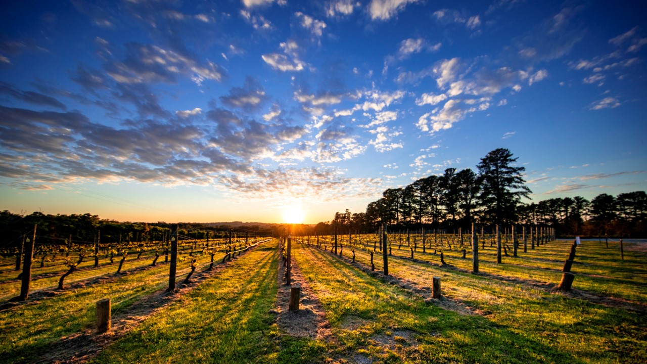 Mornington Peninsula, VIC - Firstclass Travel